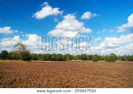 Landscape Idyllic Image & Photo (Free Trial) | Bigstock