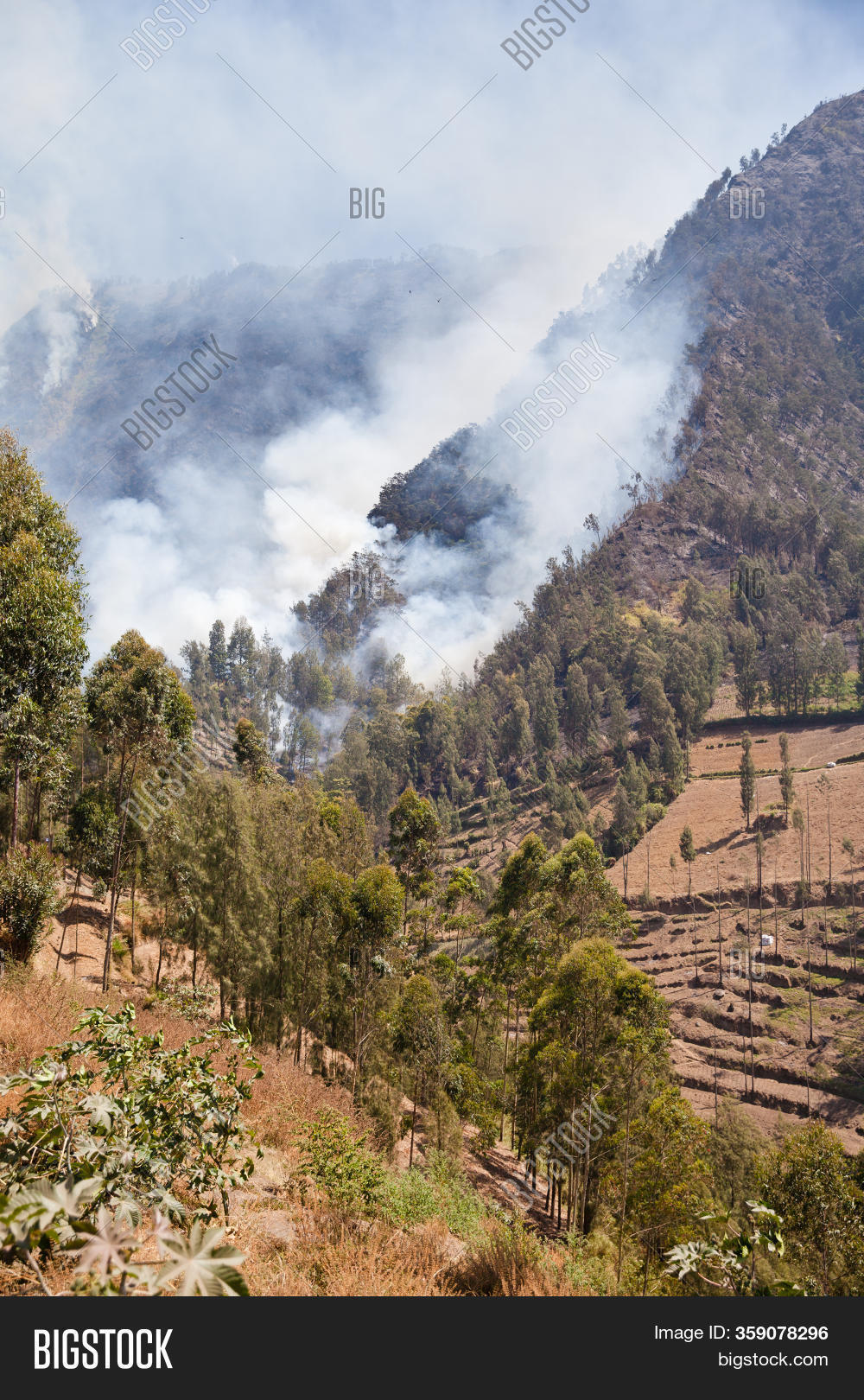 Fire Mountain Forest. Image & Photo (Free Trial) | Bigstock