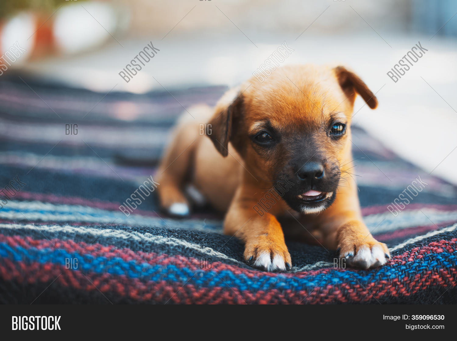 Close- Portrait Baby Image & Photo (Free Trial) | Bigstock