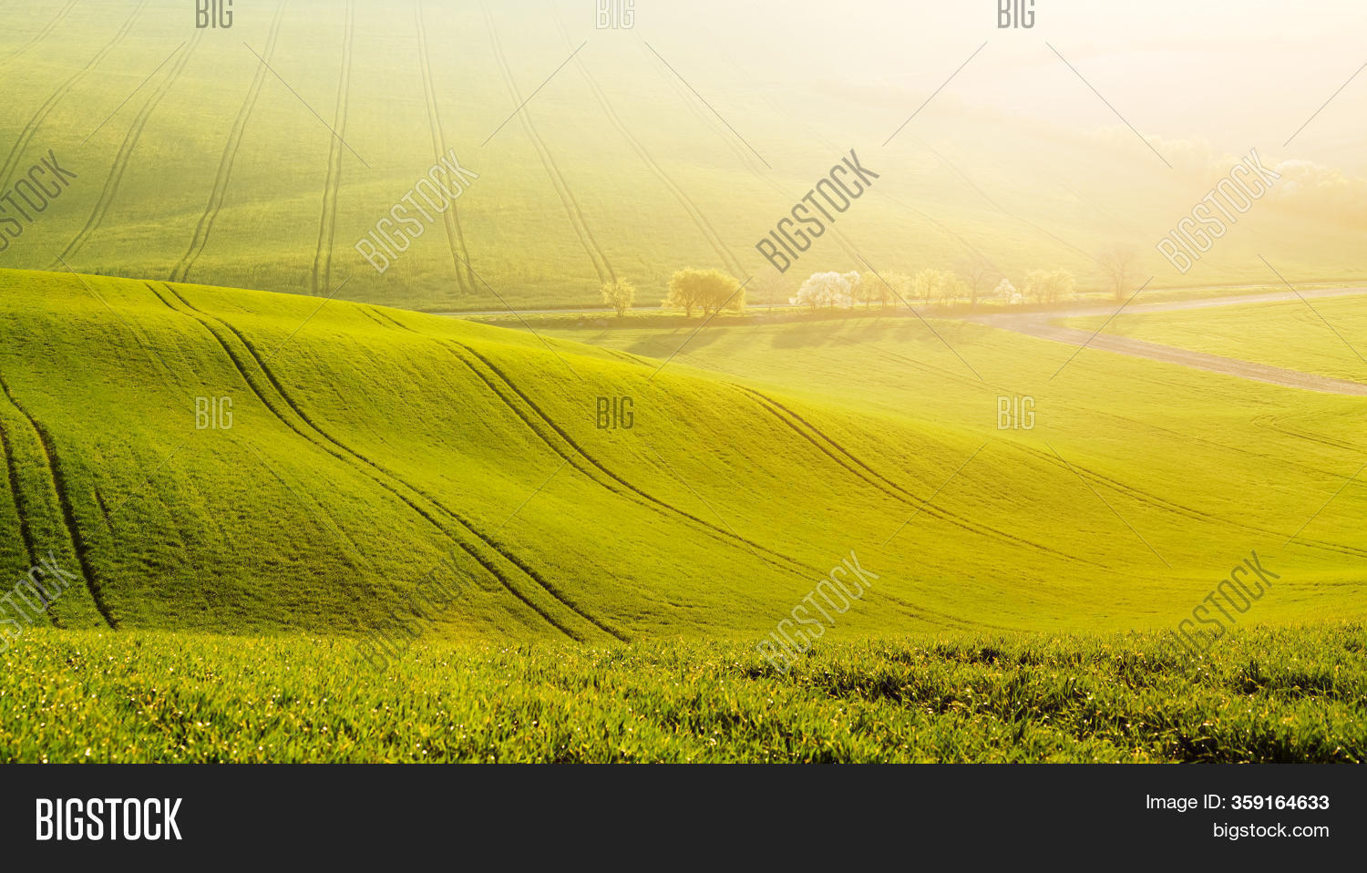 Attractive Wavy Fields Image & Photo (Free Trial) | Bigstock