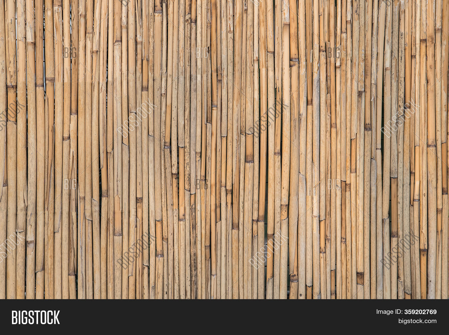 Old Brown Bamboo Image & Photo (Free Trial) | Bigstock