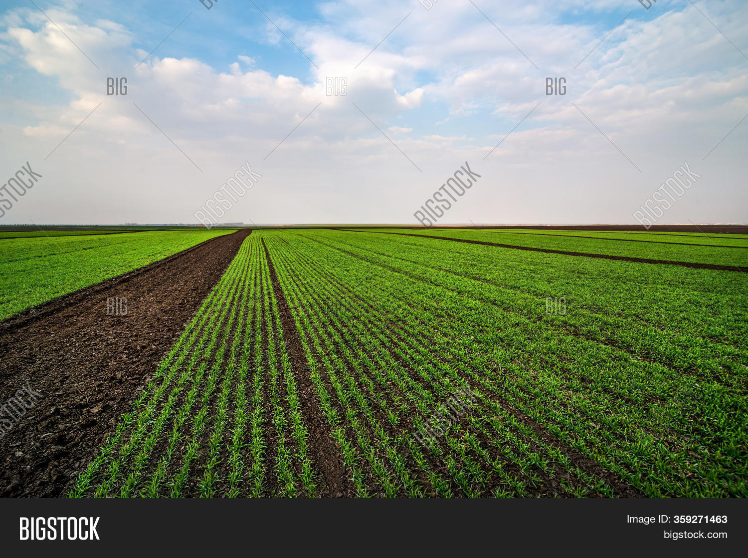 Agrarian Landscape Image & Photo (Free Trial) | Bigstock