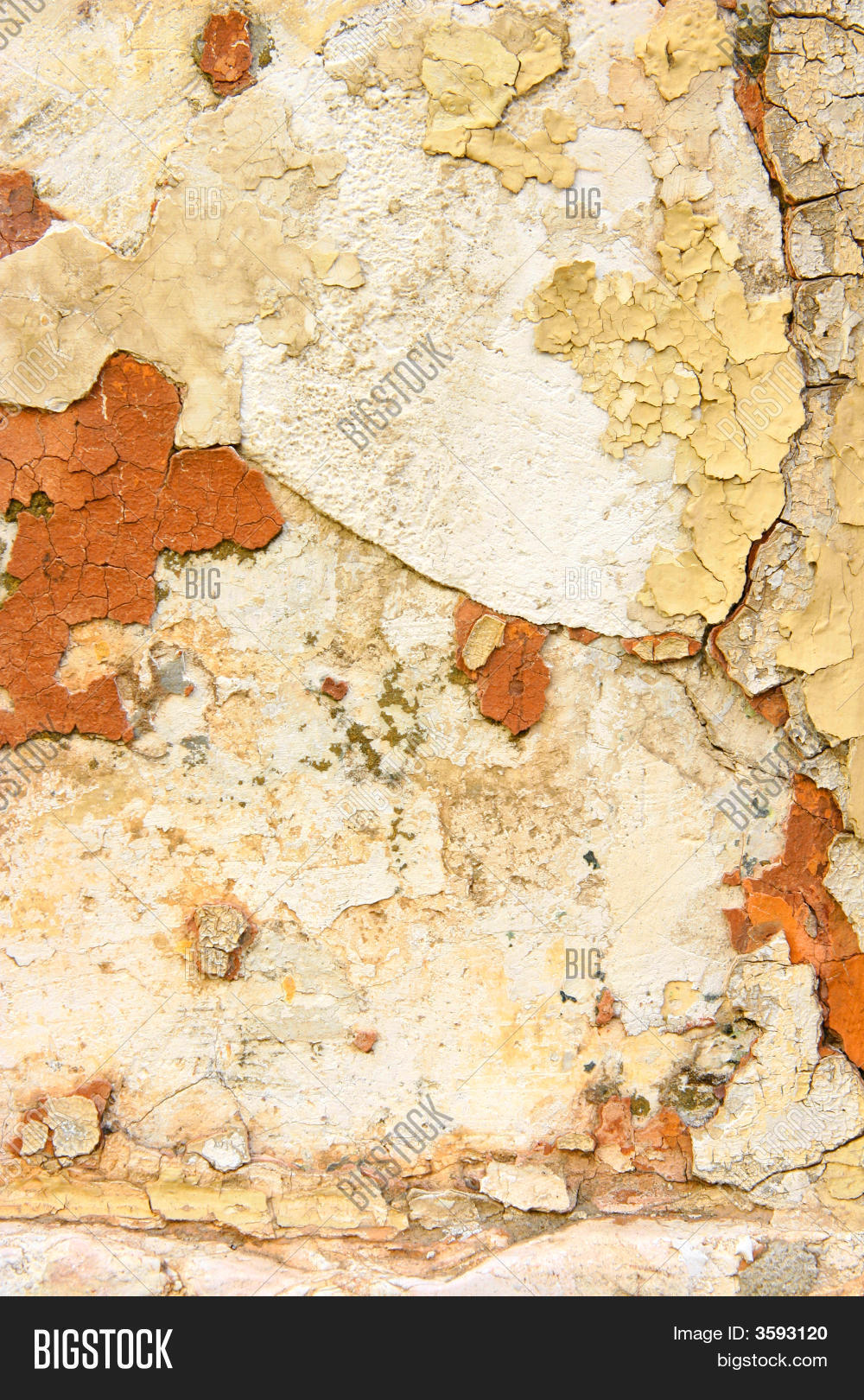 Decaying Peeling Paint Image & Photo (Free Trial) | Bigstock
