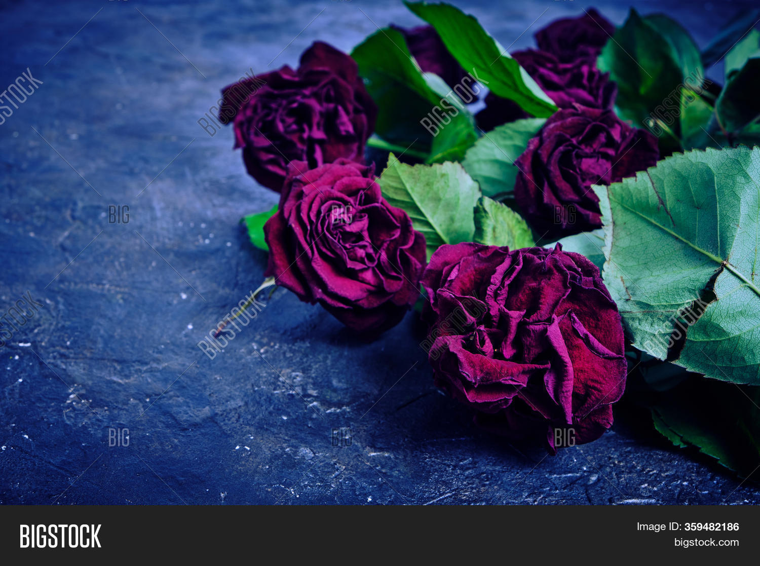 Bouquet Wilted Red Image & Photo (Free Trial) | Bigstock