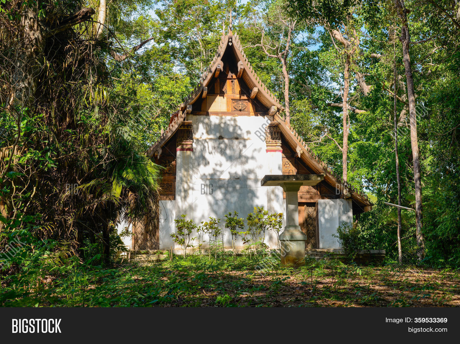 Wat Don Sak Hidden Image & Photo (Free Trial) | Bigstock