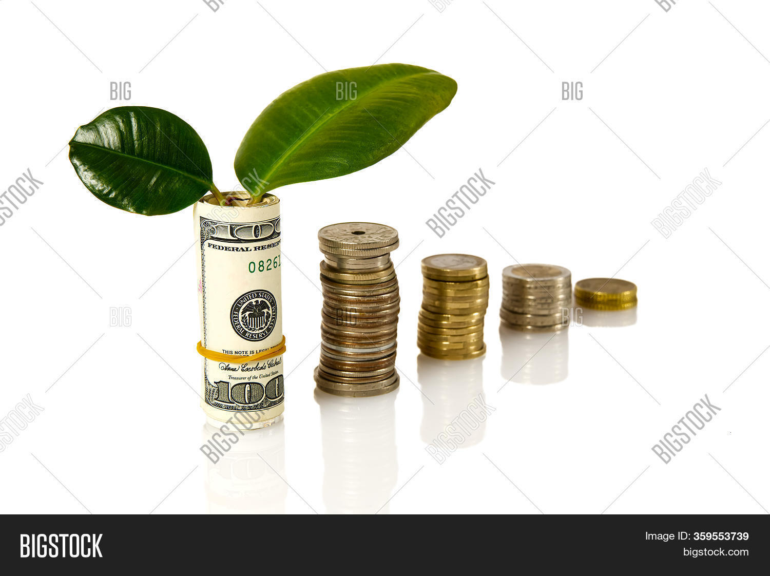 Money Tree Growing. Image & Photo (Free Trial) | Bigstock