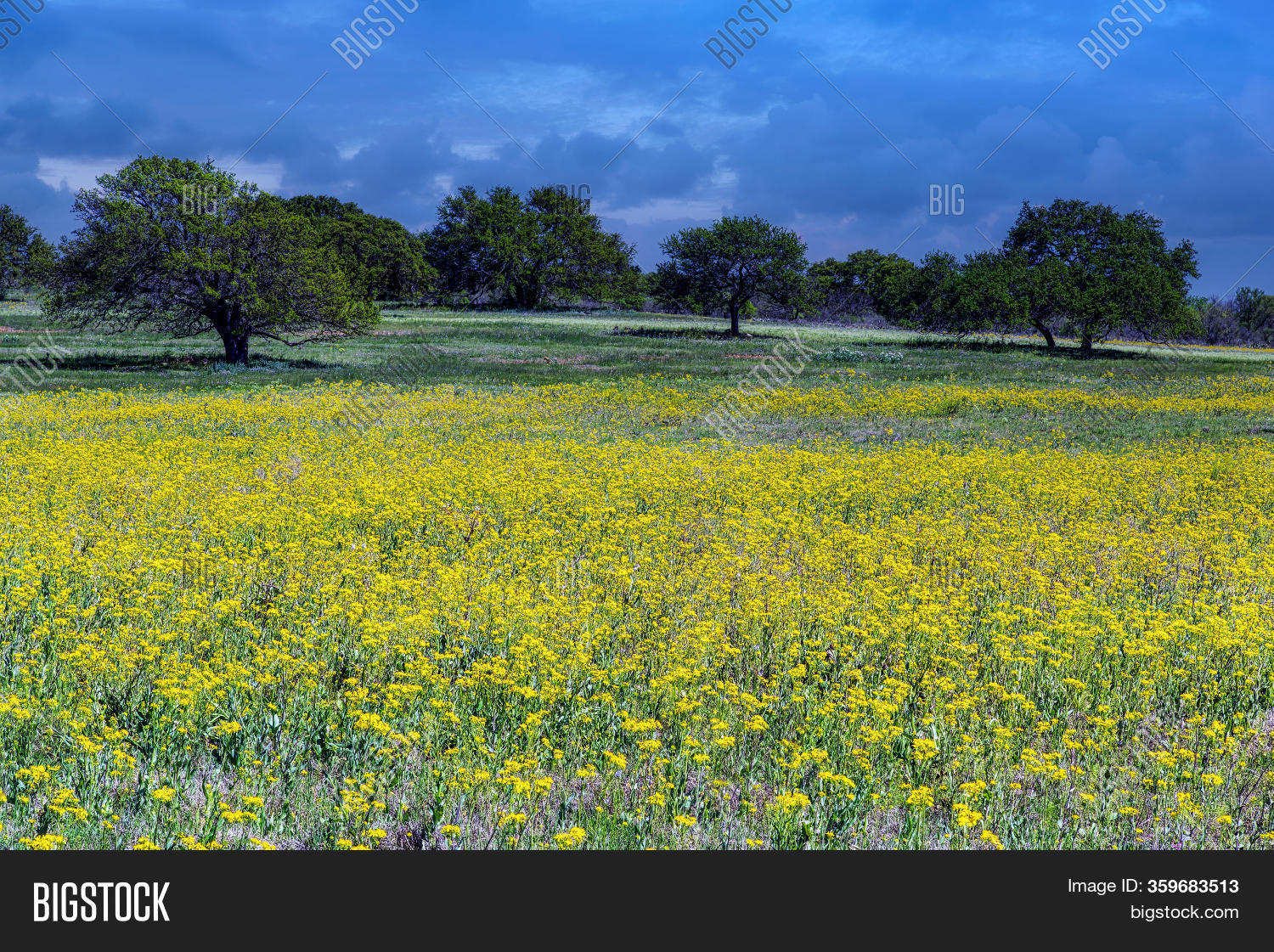 Field Spring Image & Photo (Free Trial) | Bigstock