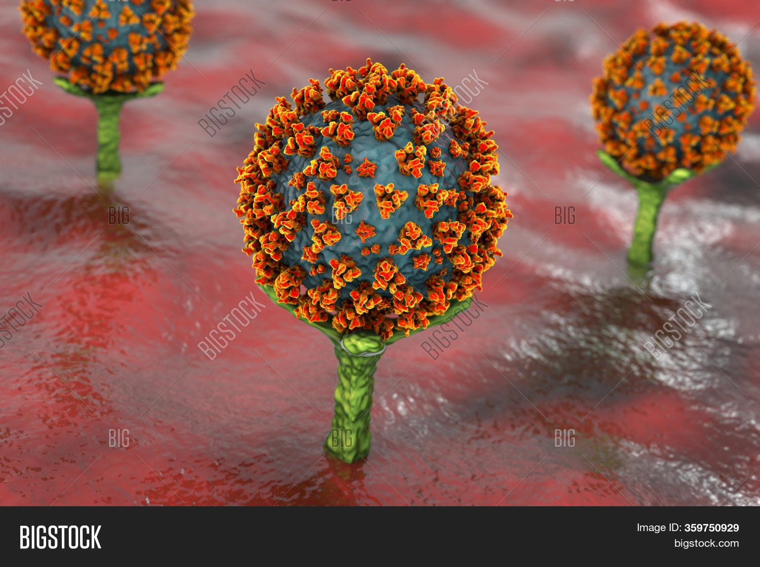 Sars-cov-2 Viruses Image & Photo (Free Trial) | Bigstock