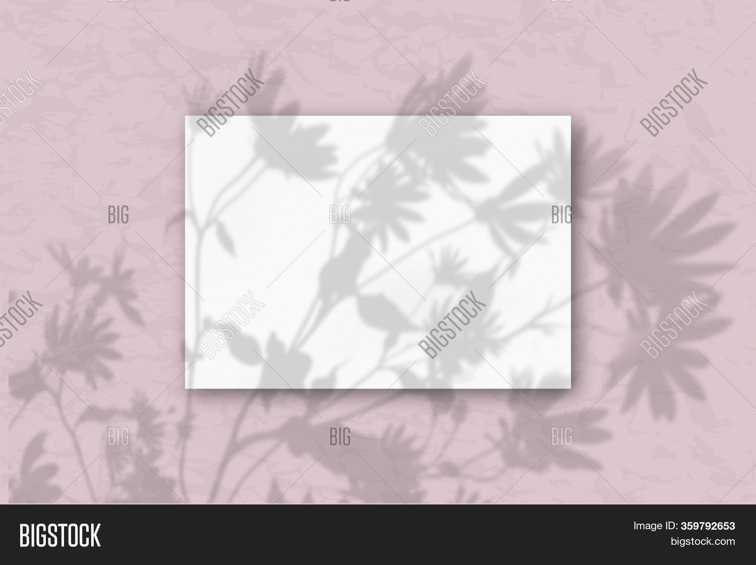 Horizontal A4 Sheet Image & Photo (Free Trial) | Bigstock