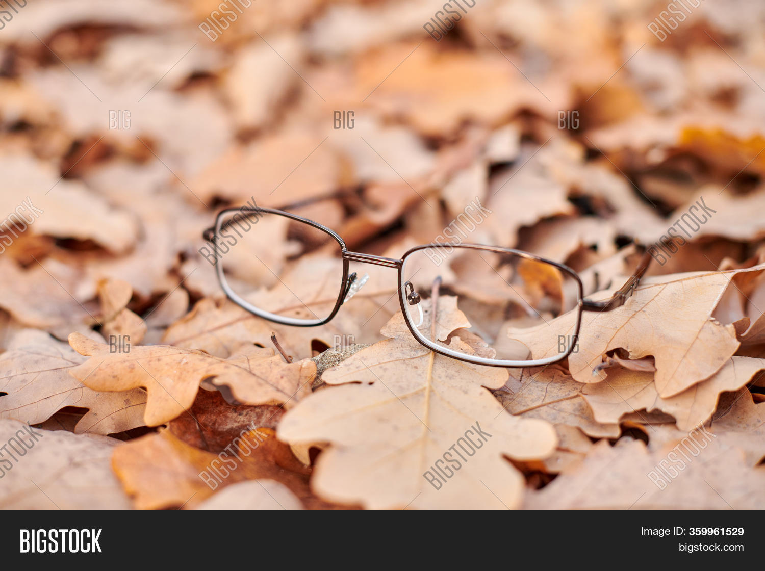 Glasses On Autumn Image & Photo (Free Trial) | Bigstock