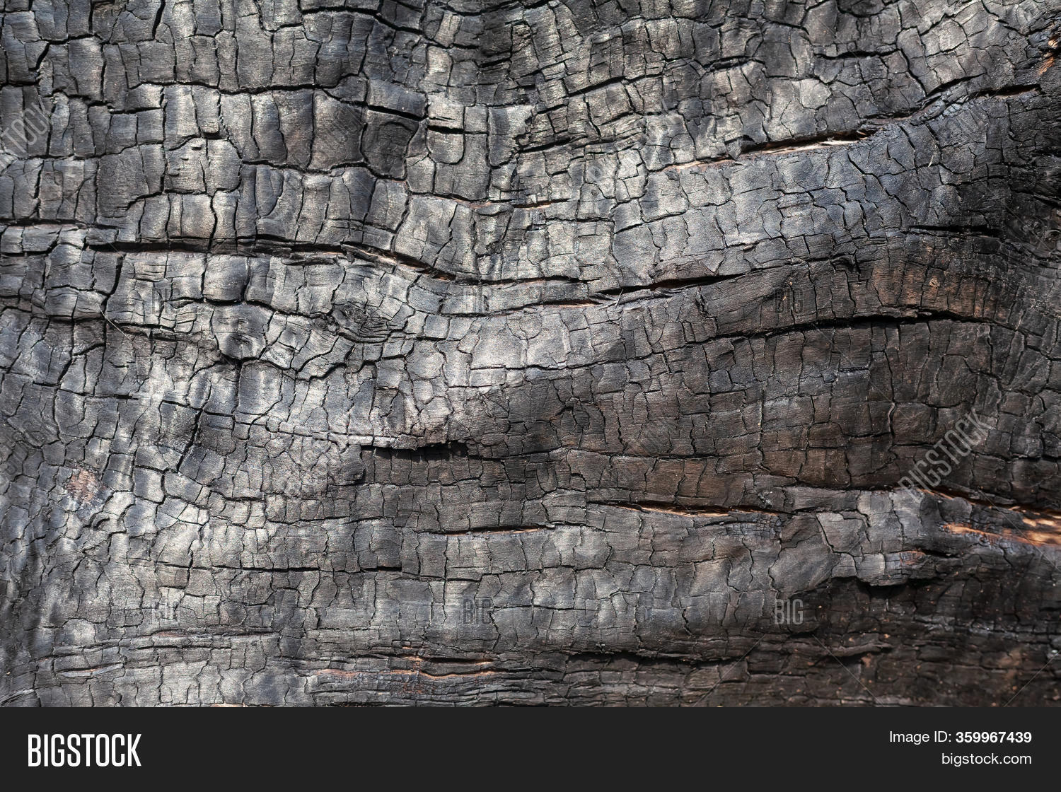 Coal Texture Close . Image & Photo (Free Trial) | Bigstock