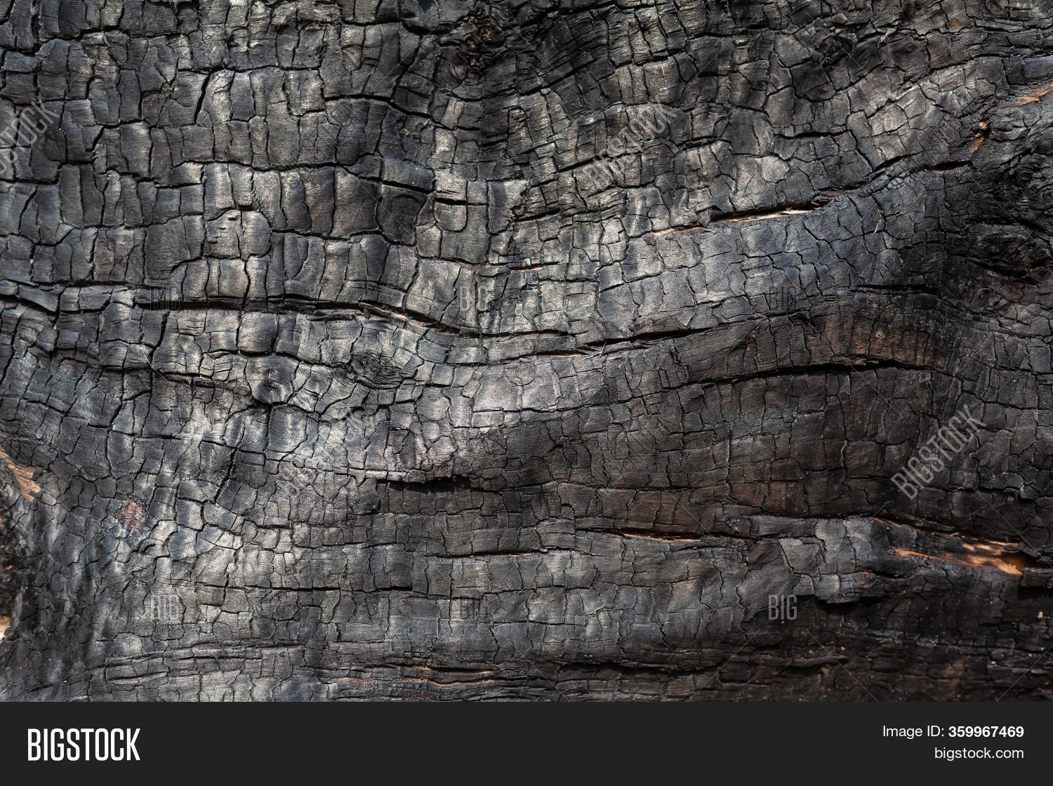 Coal Texture Close . Image & Photo (Free Trial) | Bigstock