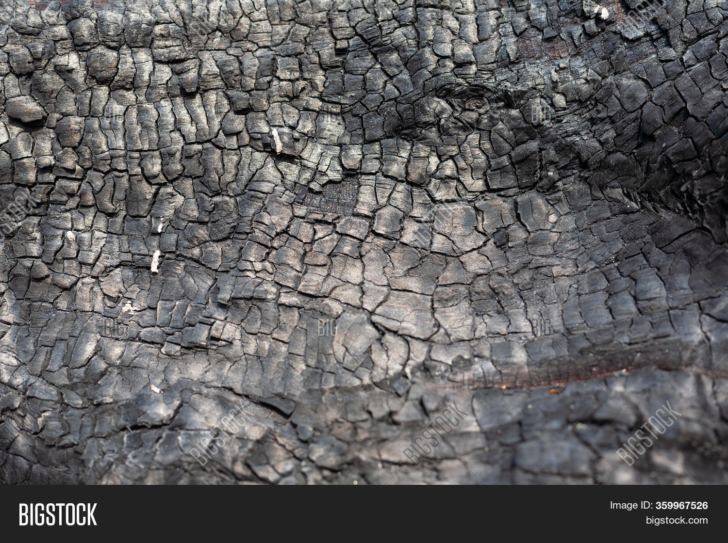 Coal Texture Close . Image & Photo (Free Trial) | Bigstock