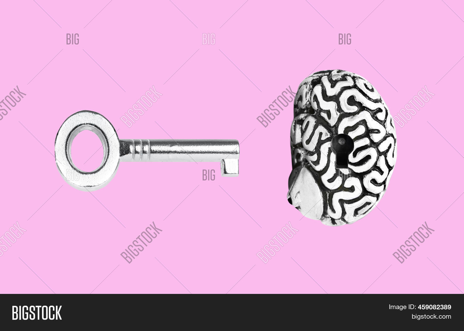 Human Brain Keyhole Image & Photo (Free Trial) | Bigstock