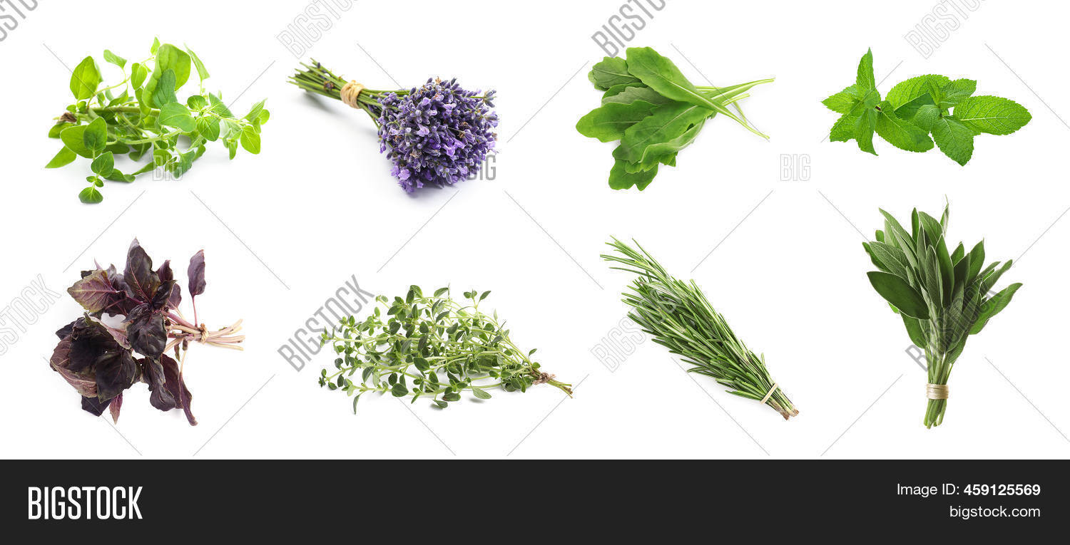 Set Different Aromatic Image & Photo (Free Trial) | Bigstock