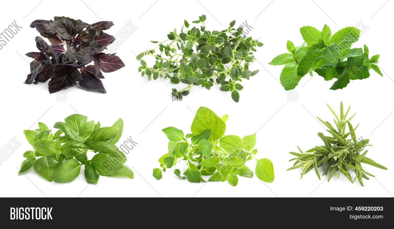 Set Different Aromatic Image & Photo (Free Trial) | Bigstock