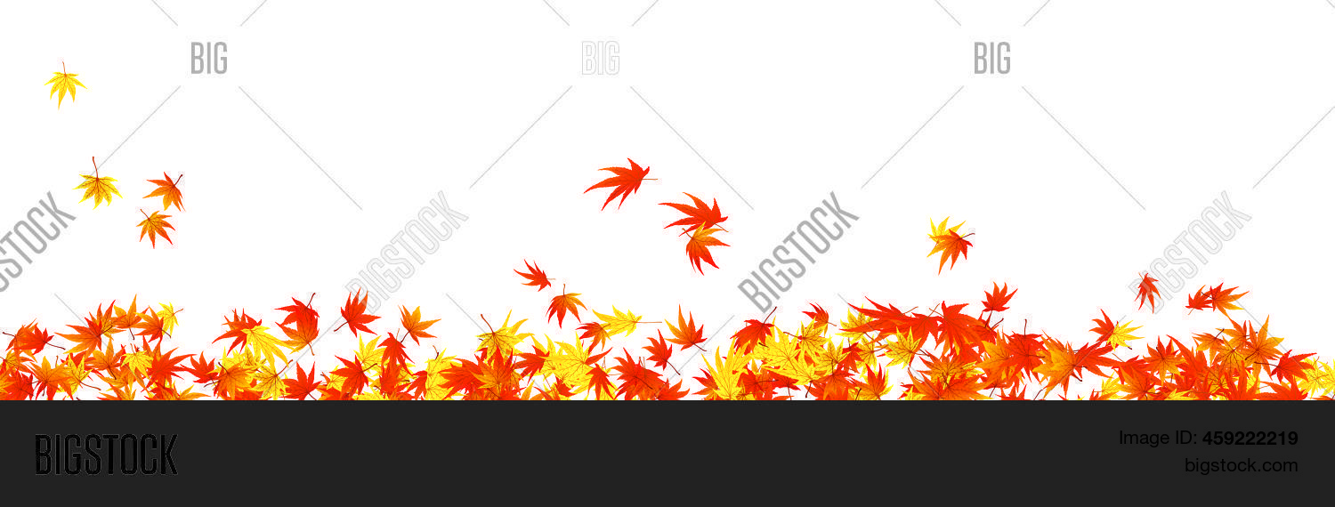 Autumn Leaves Border Vector & Photo (Free Trial) | Bigstock