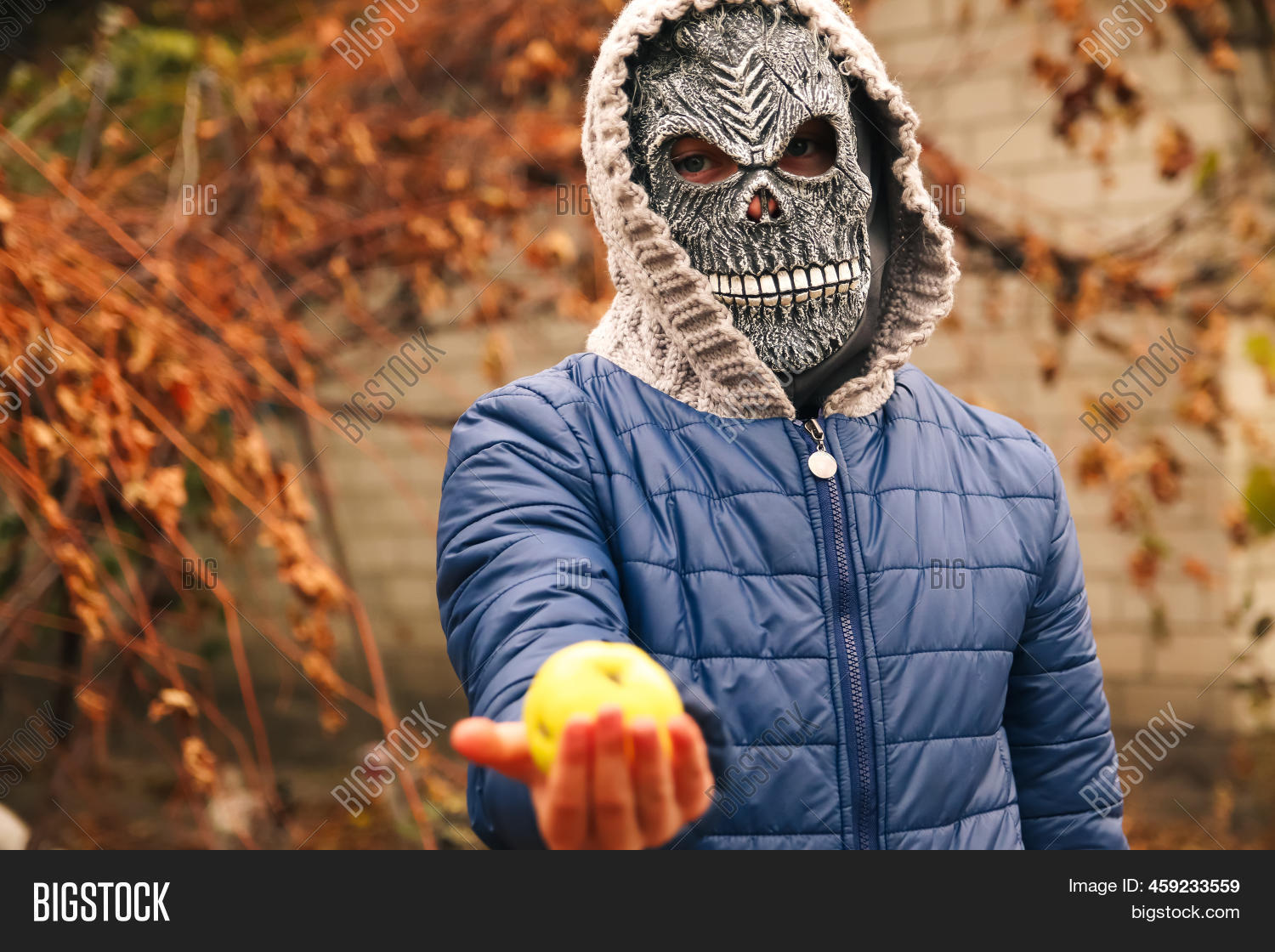 Defocus Halloween Image & Photo (Free Trial) | Bigstock