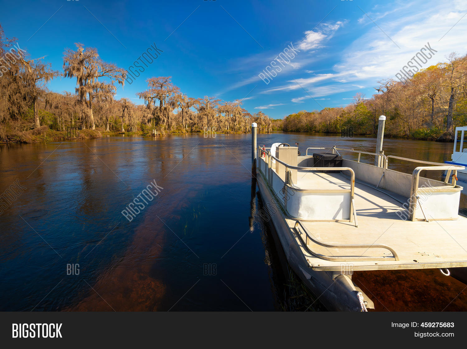 Edward Ball Wakulla Image & Photo (Free Trial) | Bigstock