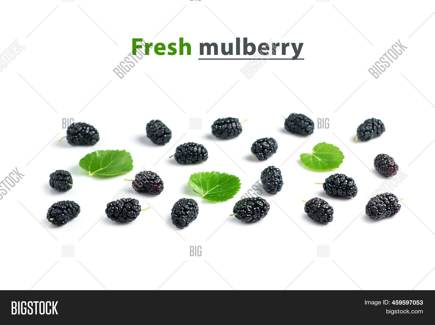 Mulberry Fruits Green Image & Photo (Free Trial) | Bigstock