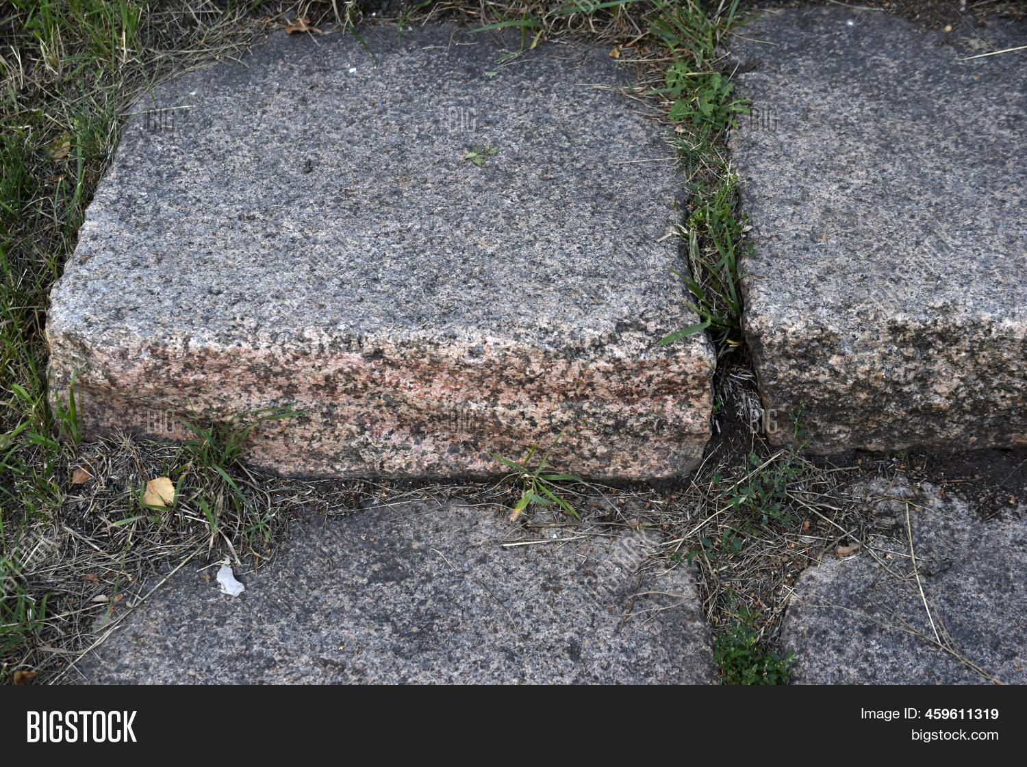 Stone Path Park Image & Photo (Free Trial) | Bigstock