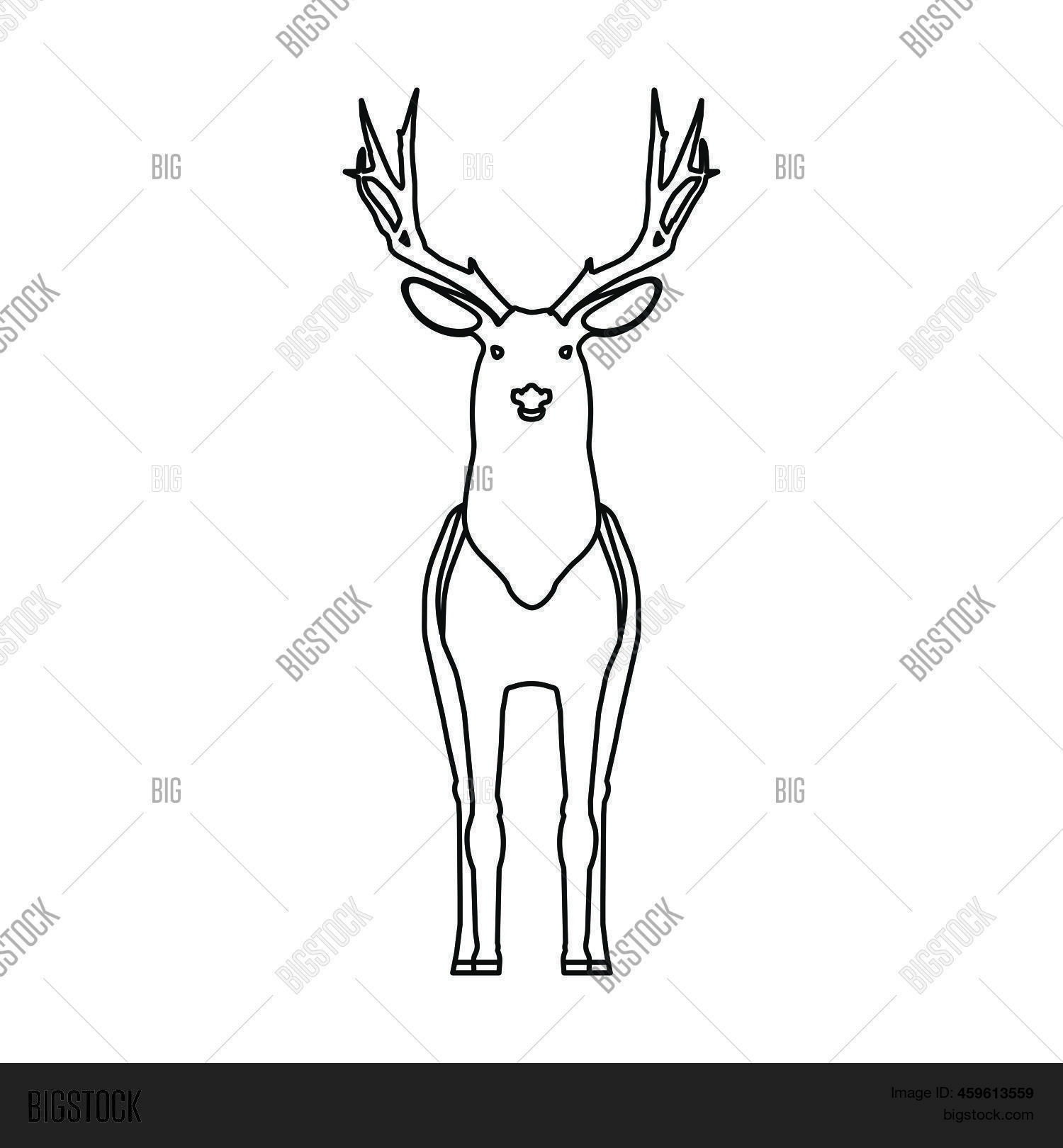 Animal Deer Outline Vector & Photo (Free Trial) | Bigstock