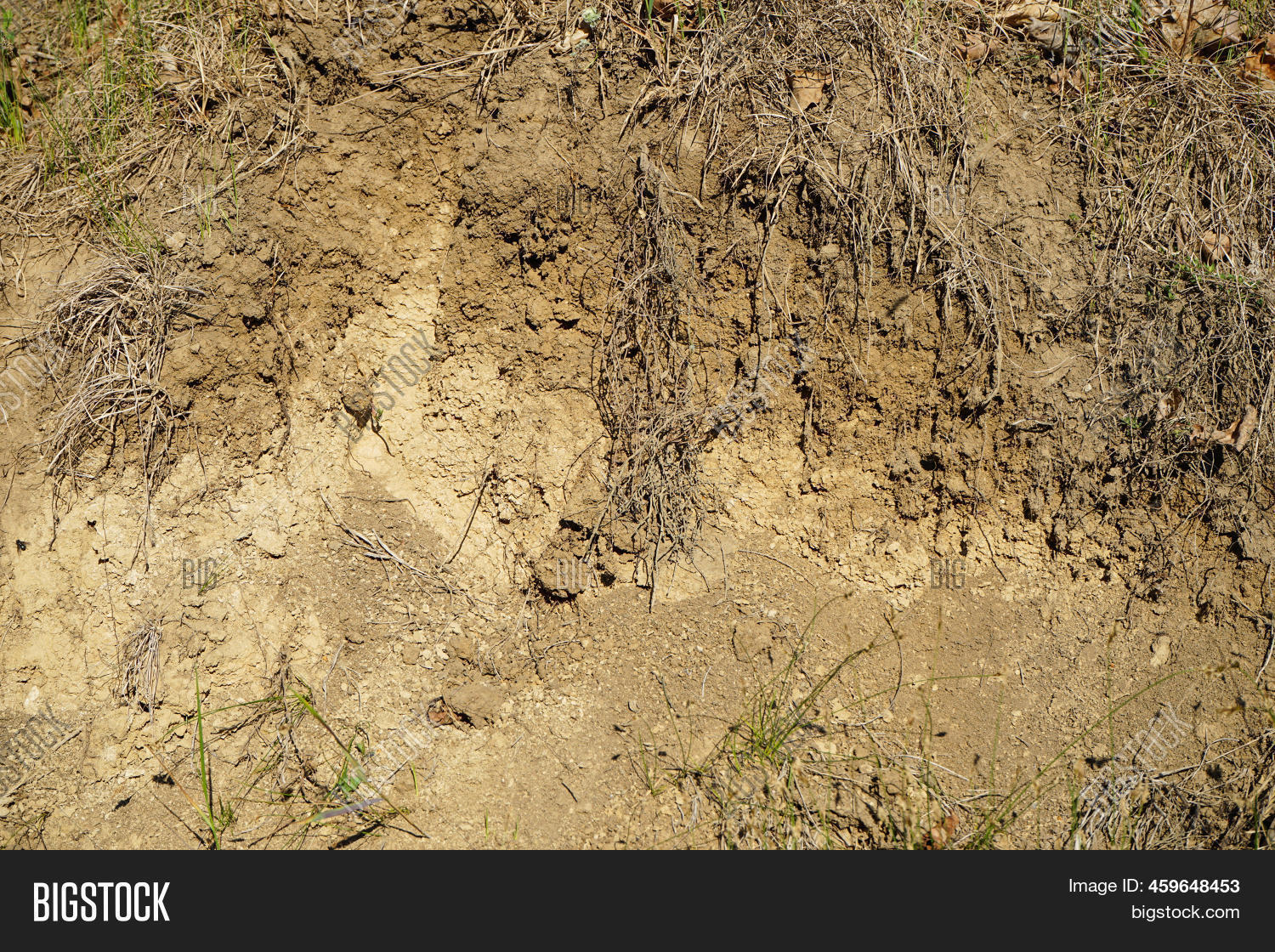 Cross-section Soil. Image & Photo (Free Trial) | Bigstock