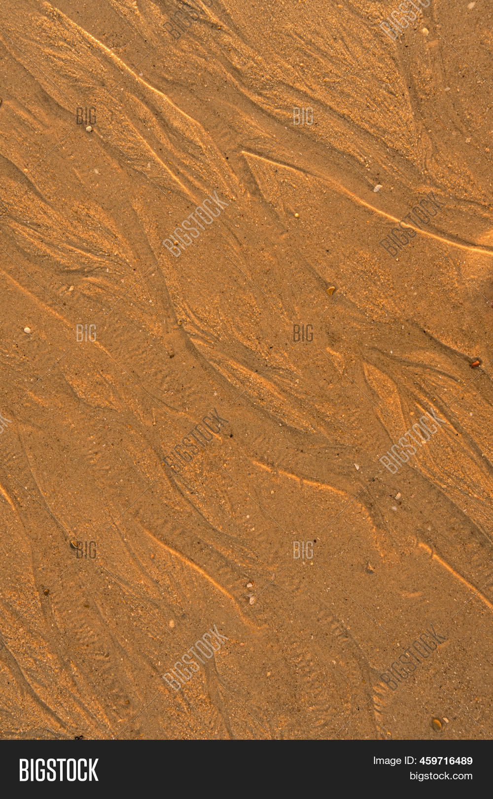 Natural Sandy Surface Image & Photo (Free Trial) | Bigstock