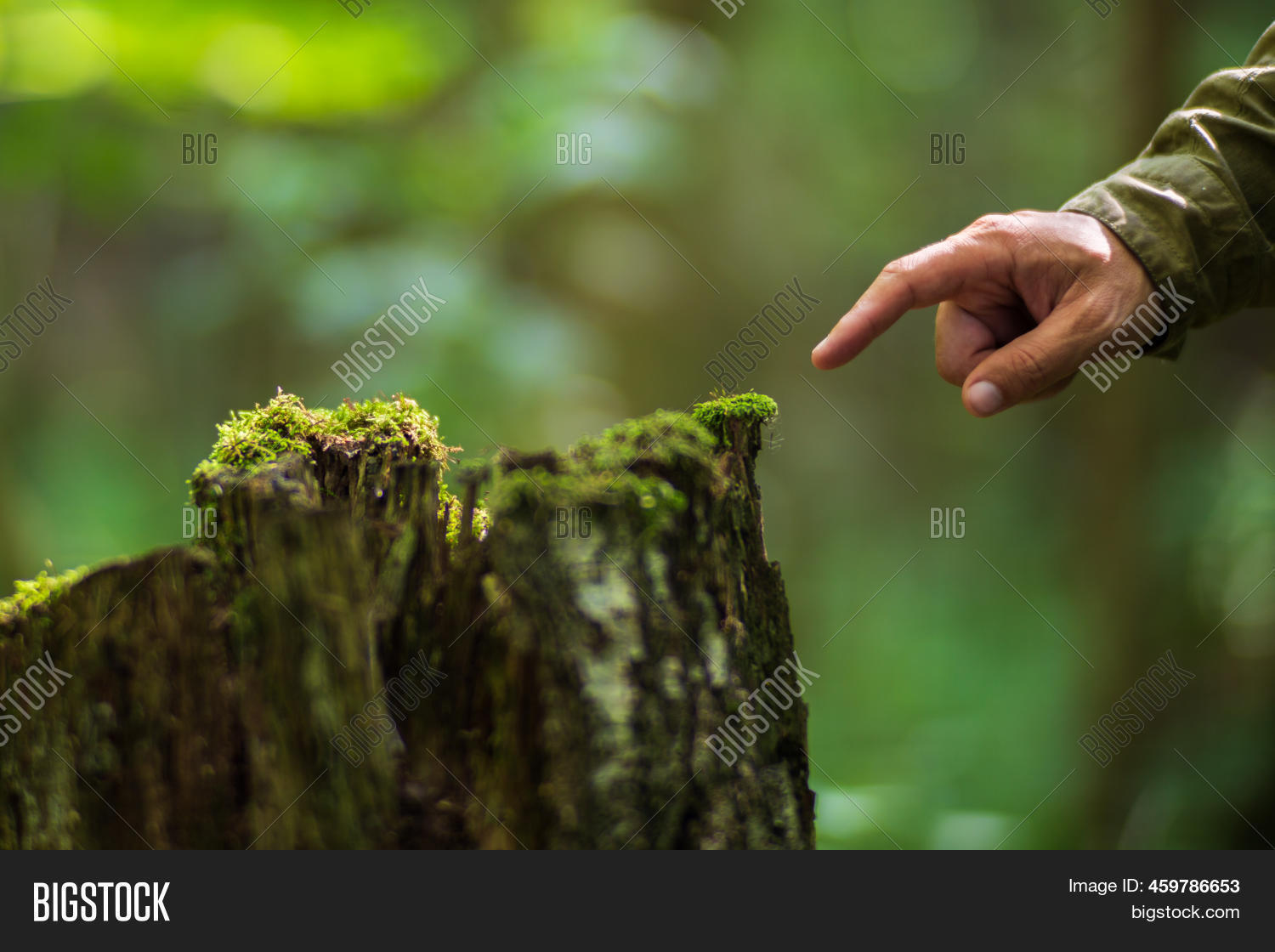 Mans Hand Touches Image & Photo (Free Trial) | Bigstock