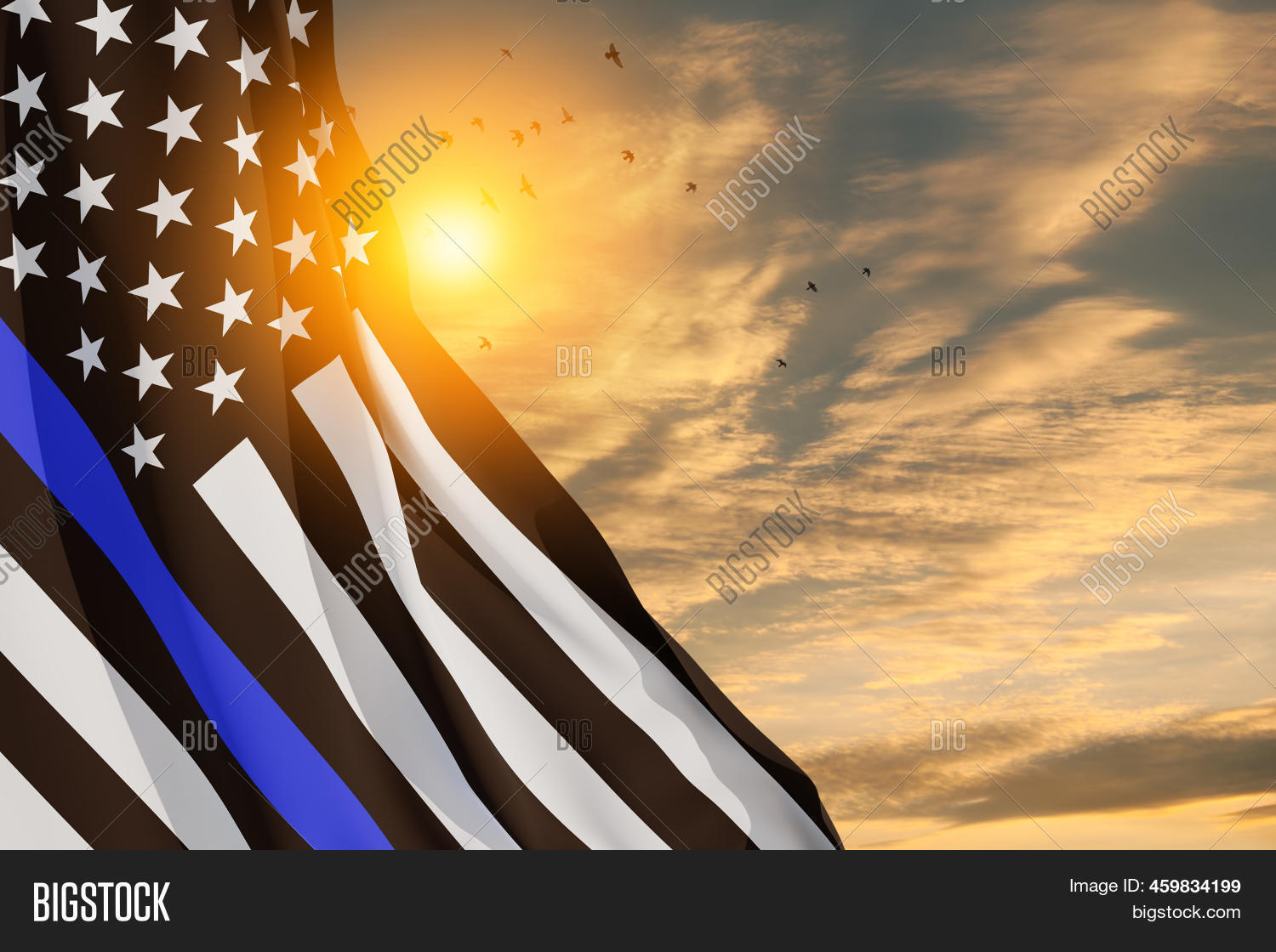 American Flag Police Image & Photo (Free Trial) | Bigstock