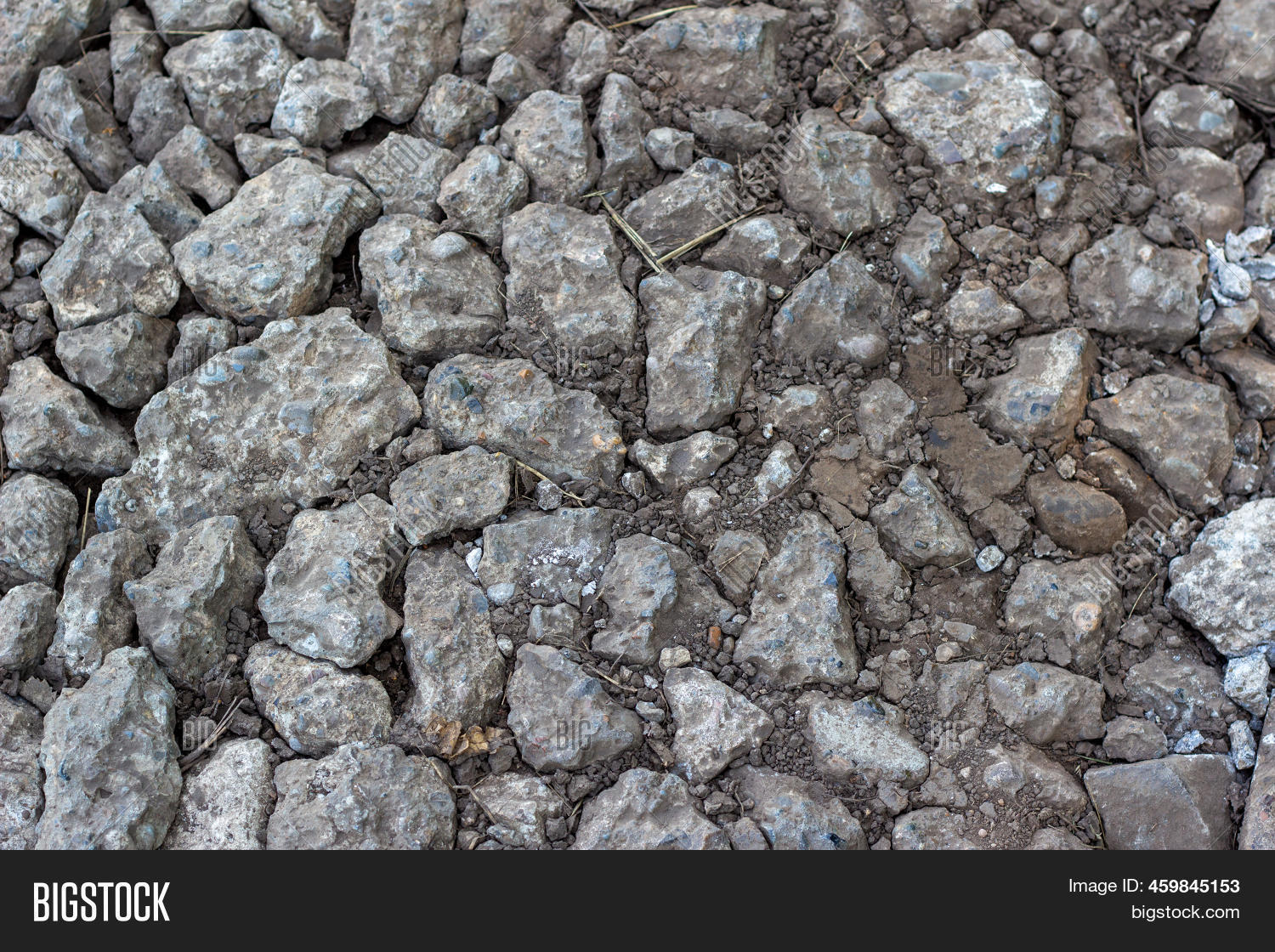 Gray Fine Texture, Image & Photo (Free Trial) | Bigstock