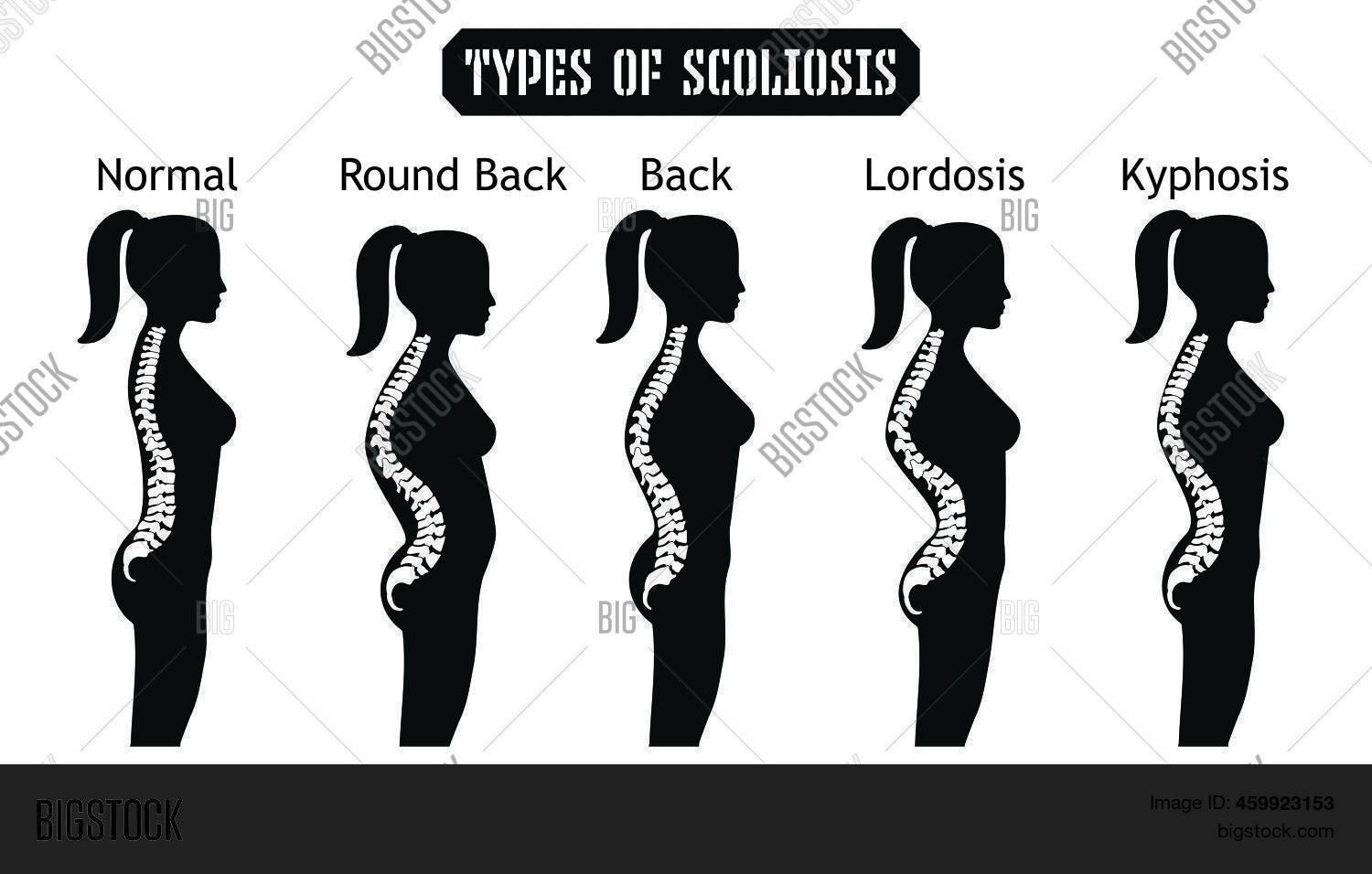 Medical Poster Vector & Photo (Free Trial) | Bigstock