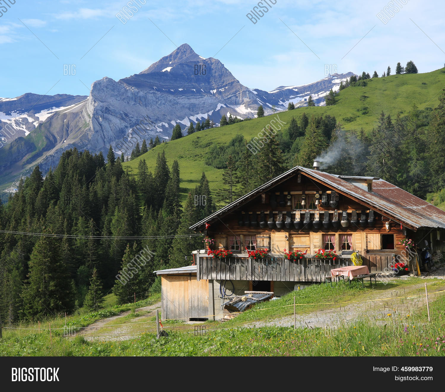 Old Farm House Cow Image & Photo (Free Trial) | Bigstock