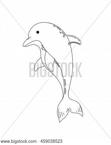 Cute Dolphin Outline Vector & Photo (Free Trial) | Bigstock