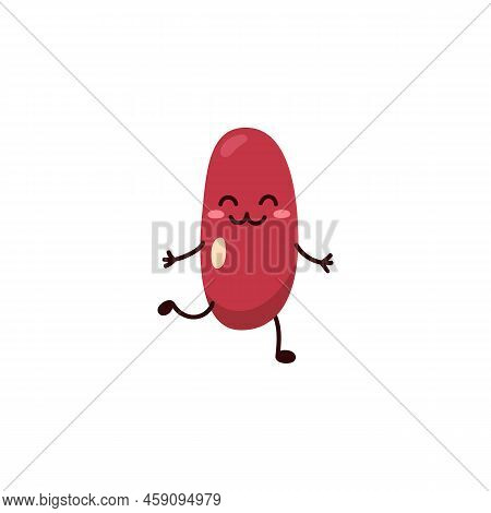 Kidney Bean Cartoon Vector & Photo (Free Trial) | Bigstock
