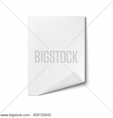Bent Paper Curled Vector & Photo (Free Trial) | Bigstock