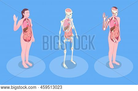 Male Female Human Vector & Photo (Free Trial) | Bigstock