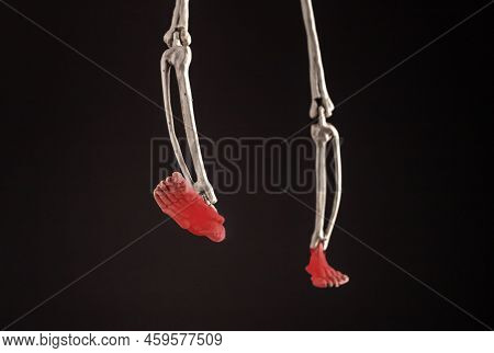 Human Skeleton Legs Image & Photo (Free Trial) | Bigstock