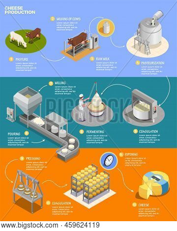 Cheese Production Vector & Photo (Free Trial) | Bigstock