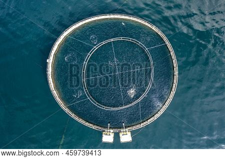 Fish Farming Image & Photo (Free Trial) | Bigstock