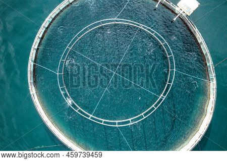 Fish Farming Nets Image & Photo (Free Trial) | Bigstock
