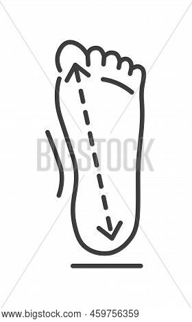 Dimensions Human Feet Vector & Photo (Free Trial) | Bigstock
