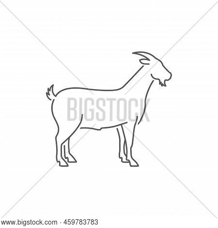 Goat Side View Linear Vector & Photo (Free Trial) | Bigstock