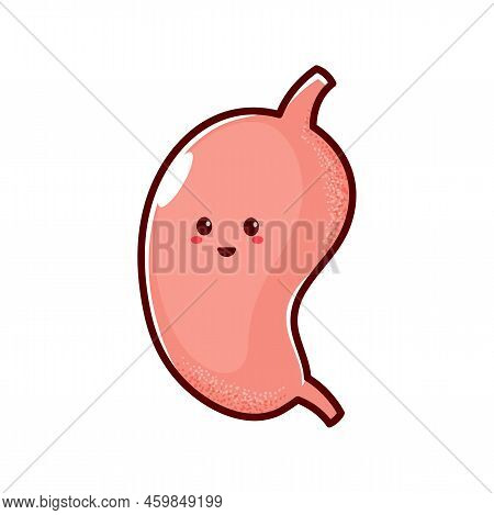 Stomach Digestive Vector & Photo (Free Trial) | Bigstock