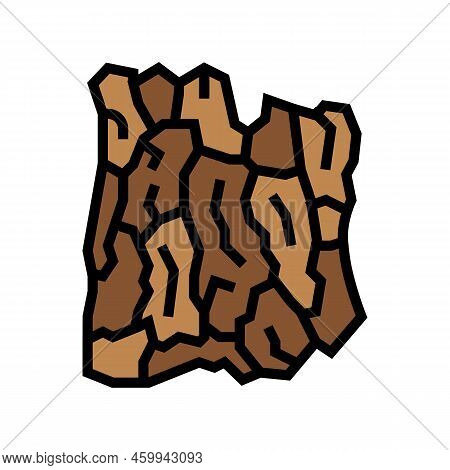 Bark Wood Timber Vector & Photo (Free Trial) | Bigstock