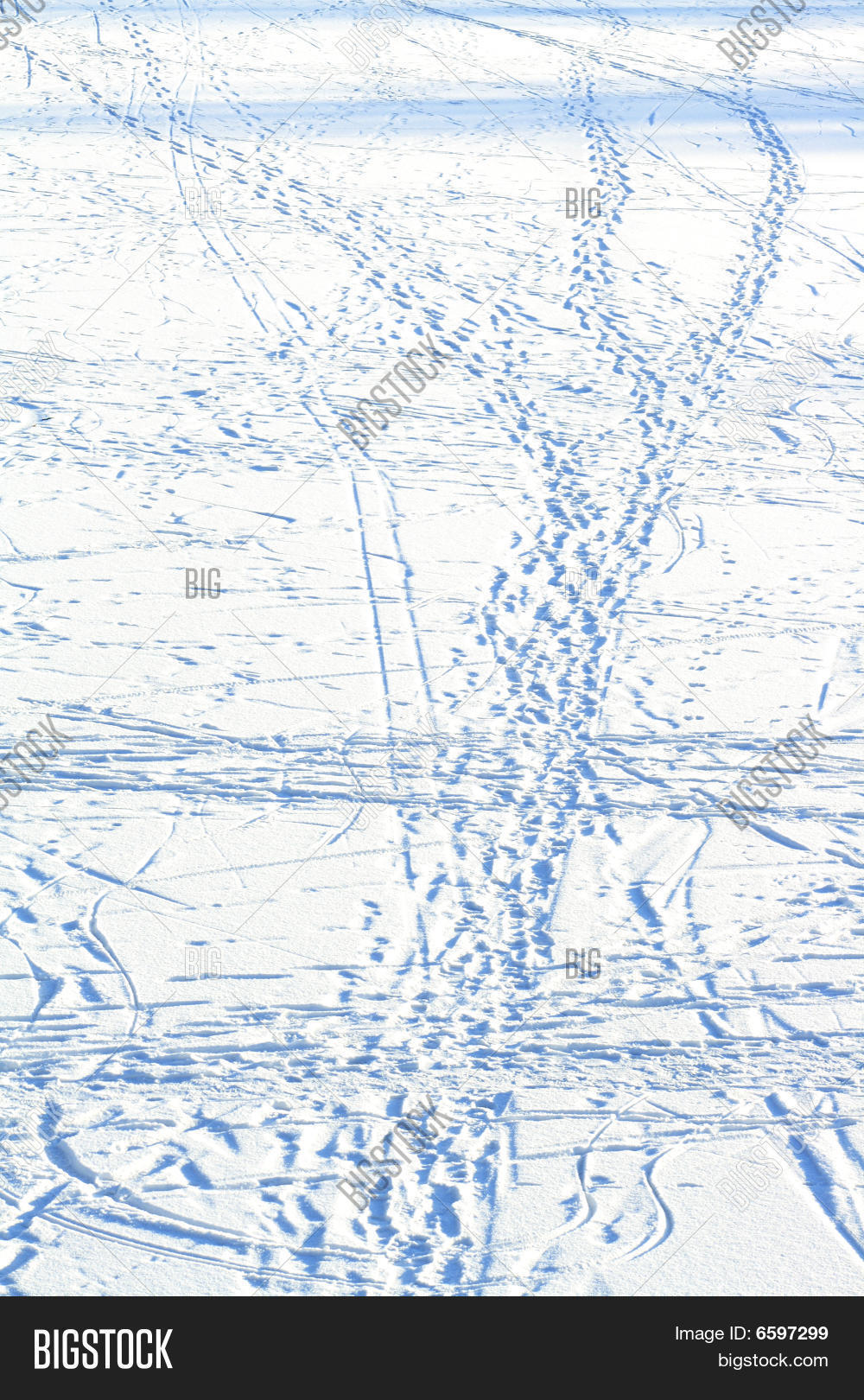 Footsteps Background Image & Photo (Free Trial) | Bigstock