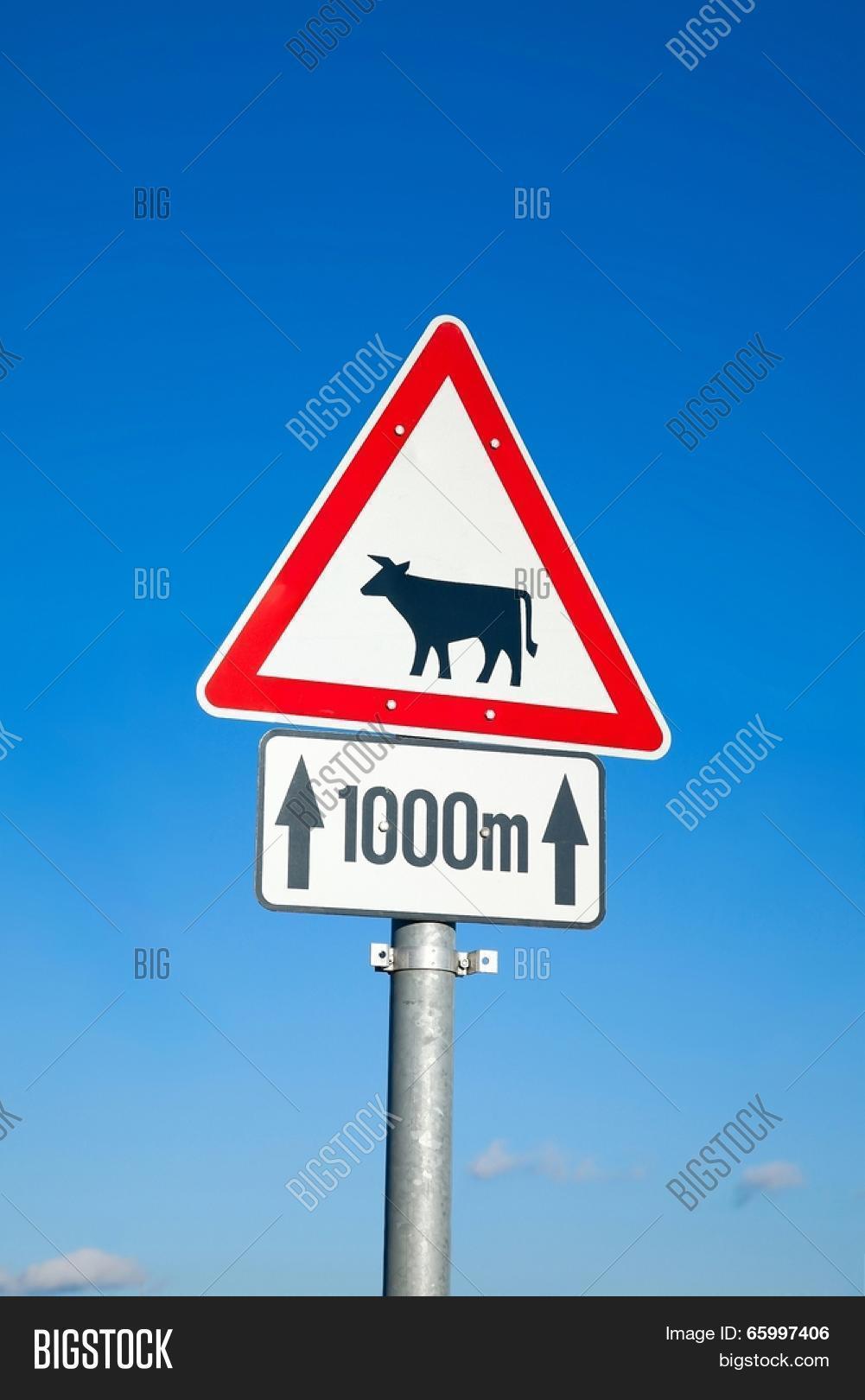 Caws Warning Sign Image & Photo (Free Trial) | Bigstock