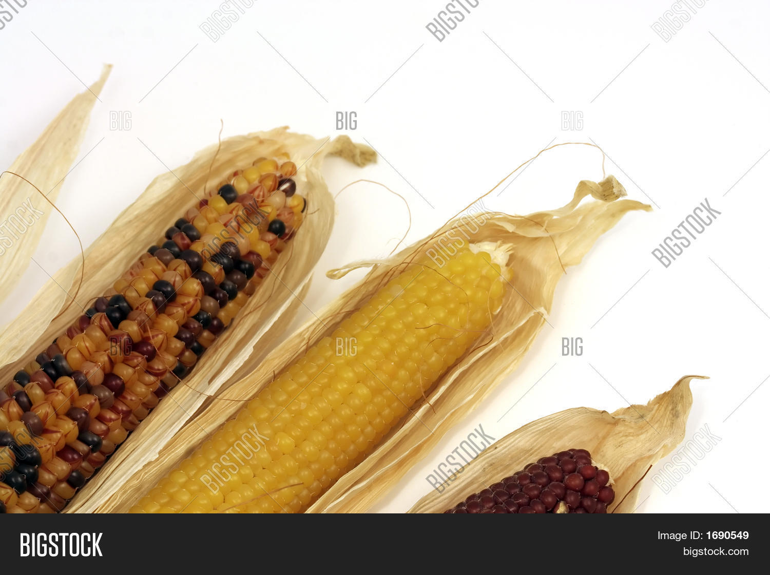 Colored Corn Cobs Image & Photo (Free Trial) | Bigstock