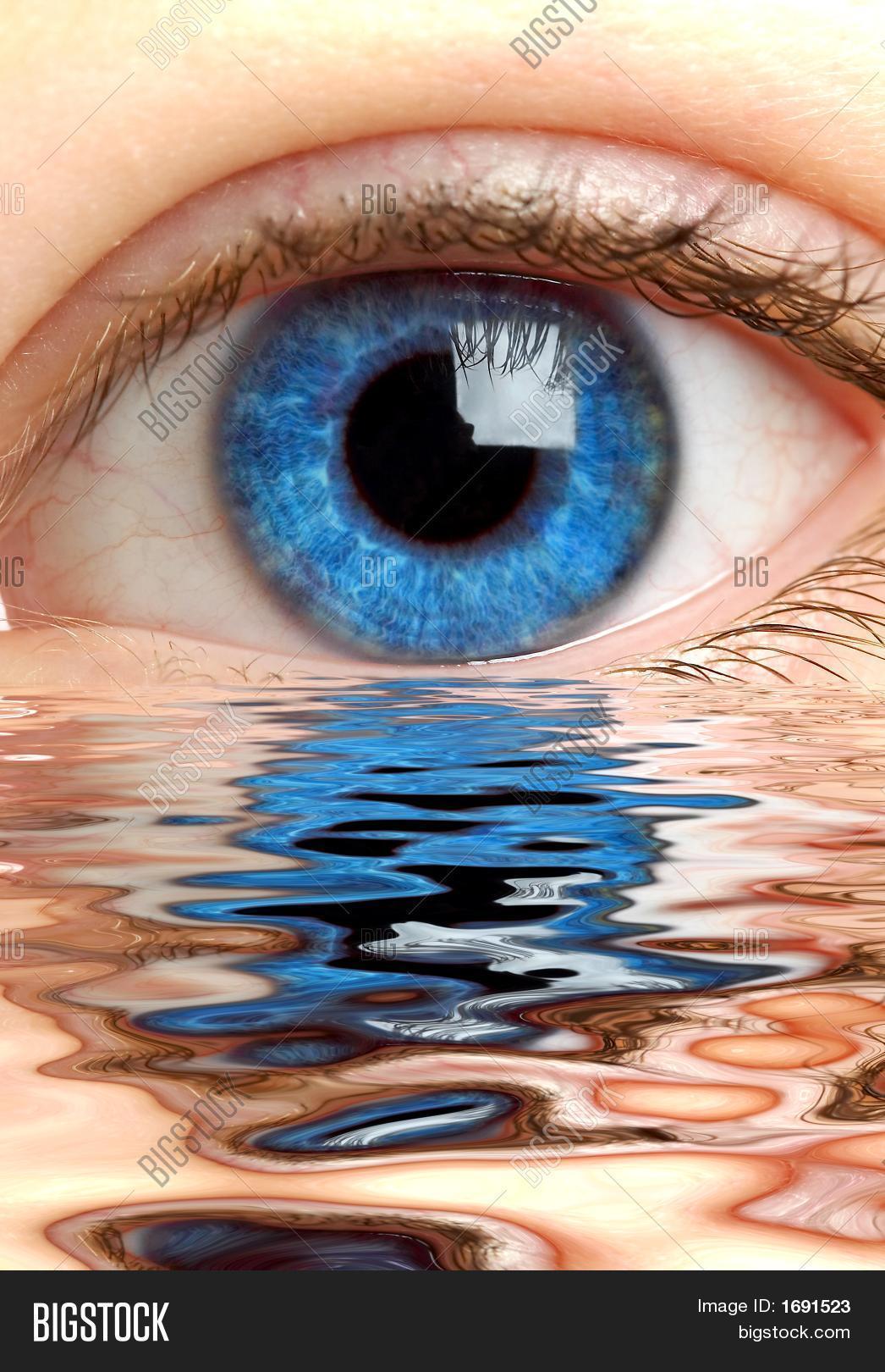 Human Eye Reflected Image & Photo (Free Trial) | Bigstock
