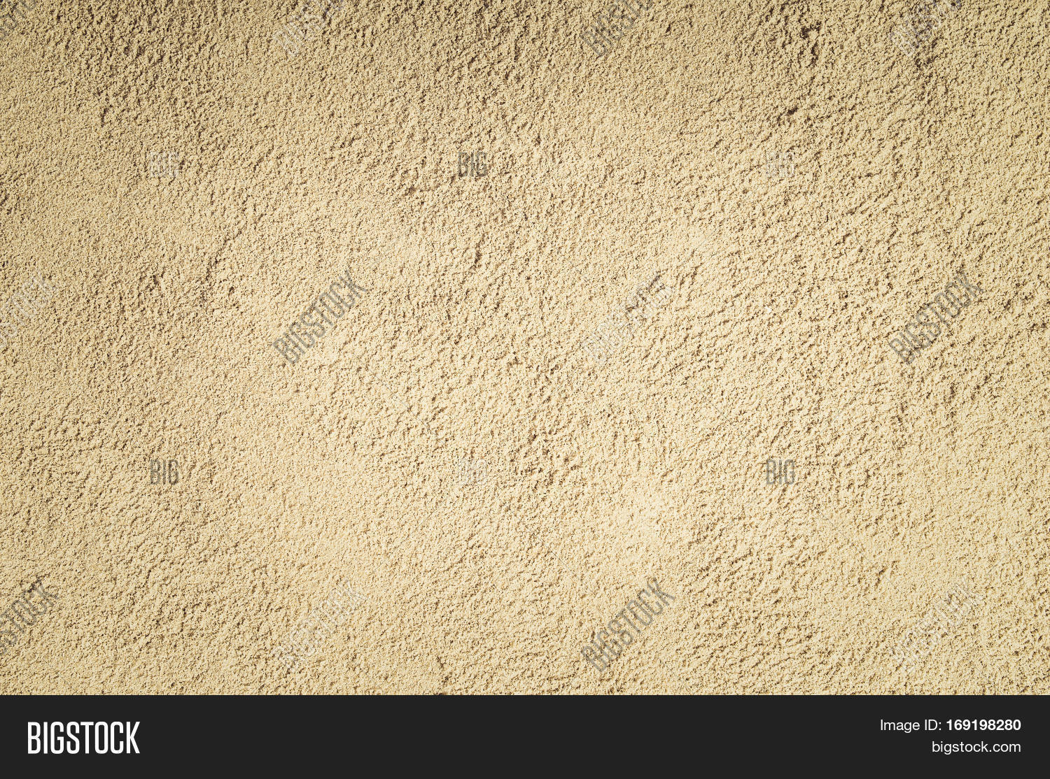 Top View Sandy Beach. Image & Photo (Free Trial) | Bigstock